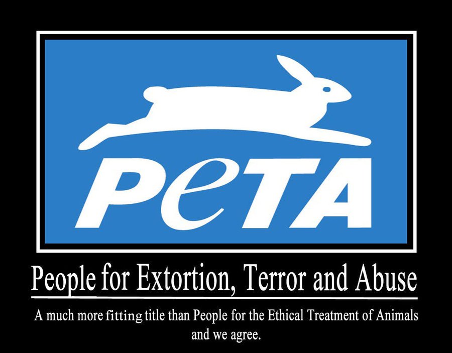 Jallikkattu Ban PETA Project Thessalonica To Destabilize Story ...