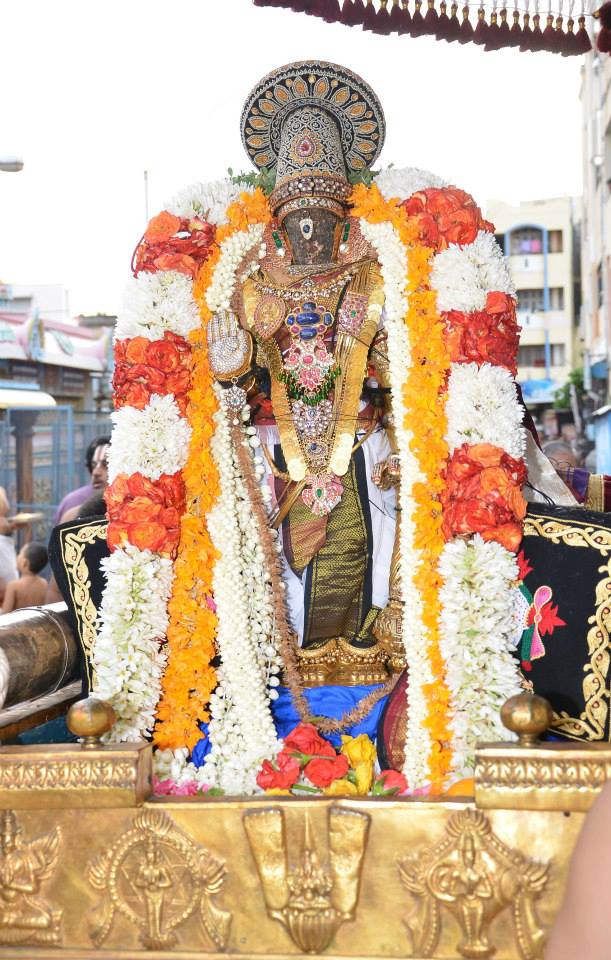 This Is Where I was Hit, Hurt Sri Krishna, Parthasarathi Temple Idol ...